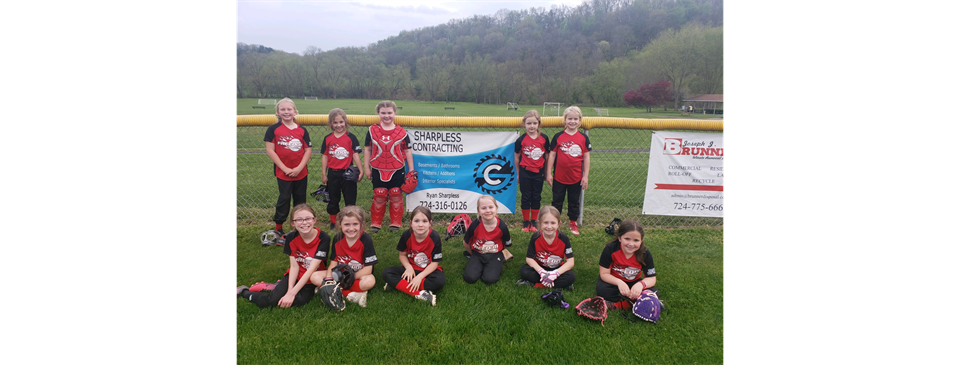 Home [freedomfastpitch.org]