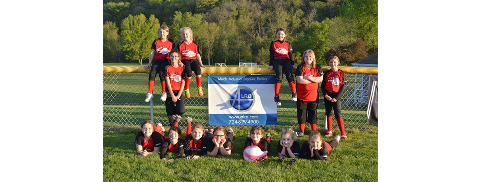 Home [www.freedomfastpitch.org]